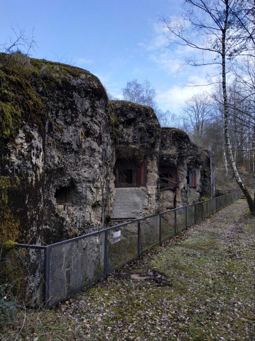 Appel à projets : 80eme anniversaire de la libération du Pays de Bitche ...